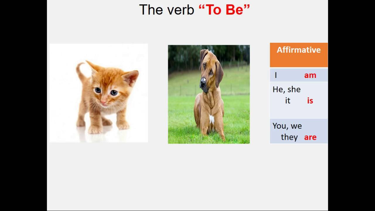 verb "to be" statements - YouTube