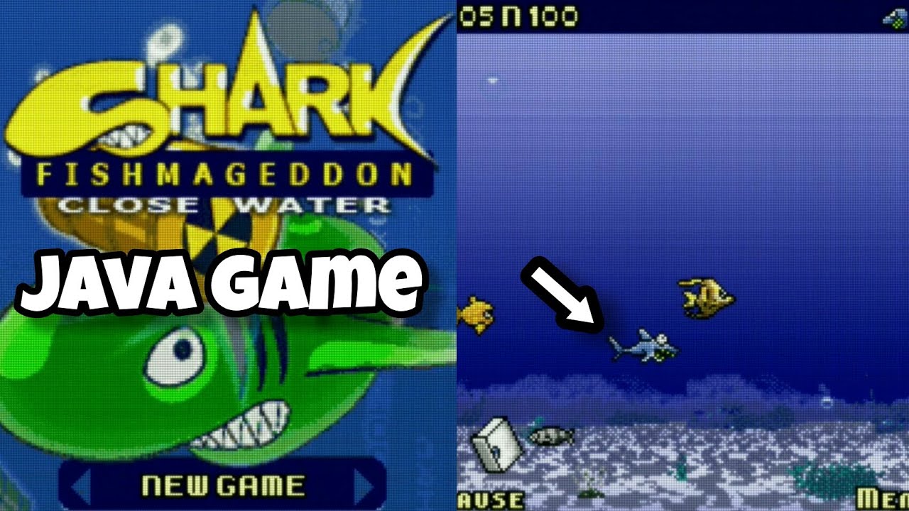 Shark Fishmageddon: Close Water play through Java Game - YouTube