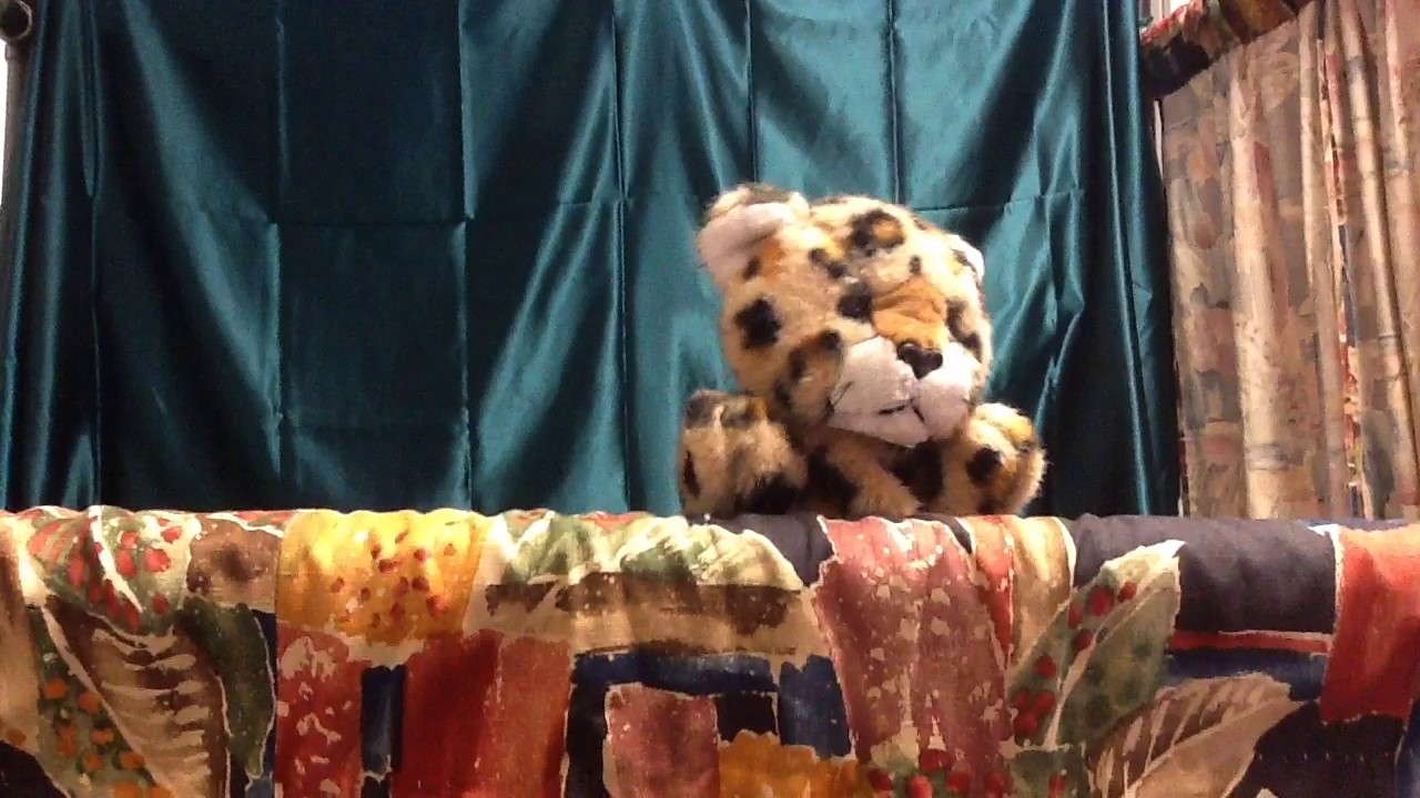 A Beary Good Media Lesson - YouTube