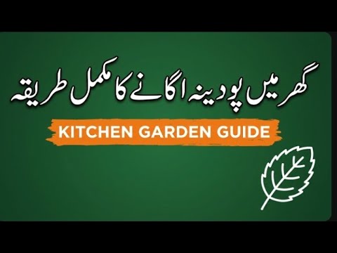 Mint Sowing & Kitchen Garden Work | OneTen Wild & Homely LIVE 🌿