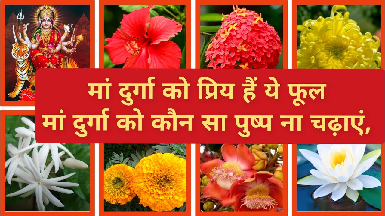 Favourite flowers of Durga Mata माता दुर्गा का प्रिय फूल Devi Durga ...