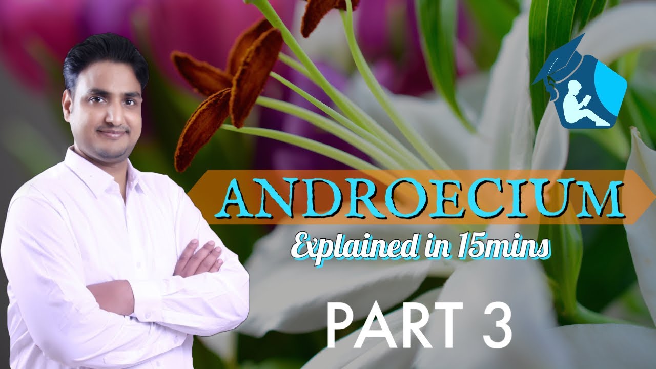 Full ANDROECIUM Explained in a very effective way | MORPHOLOGY Part-3 ...