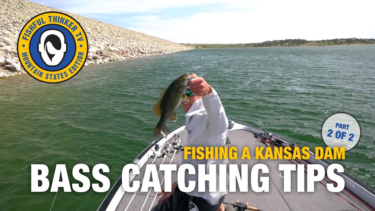 Dam Bassin' Tactics, part 2 (bass fishing) - YouTube
