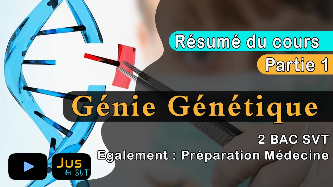 Le Génie Génétique - 2 BAC SVT | Résumé - YouTube