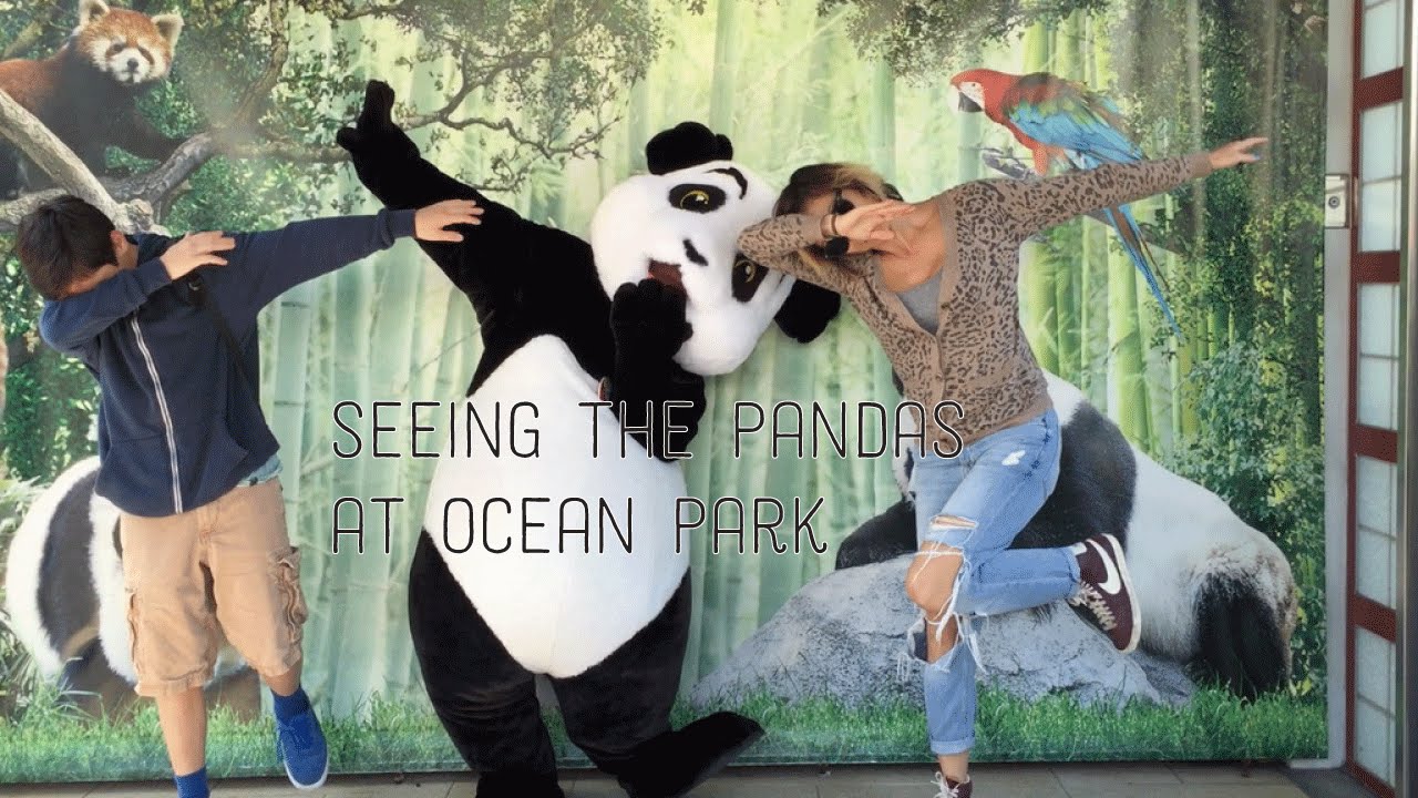 Seeing the Pandas at Ocean Park Hong Kong - YouTube