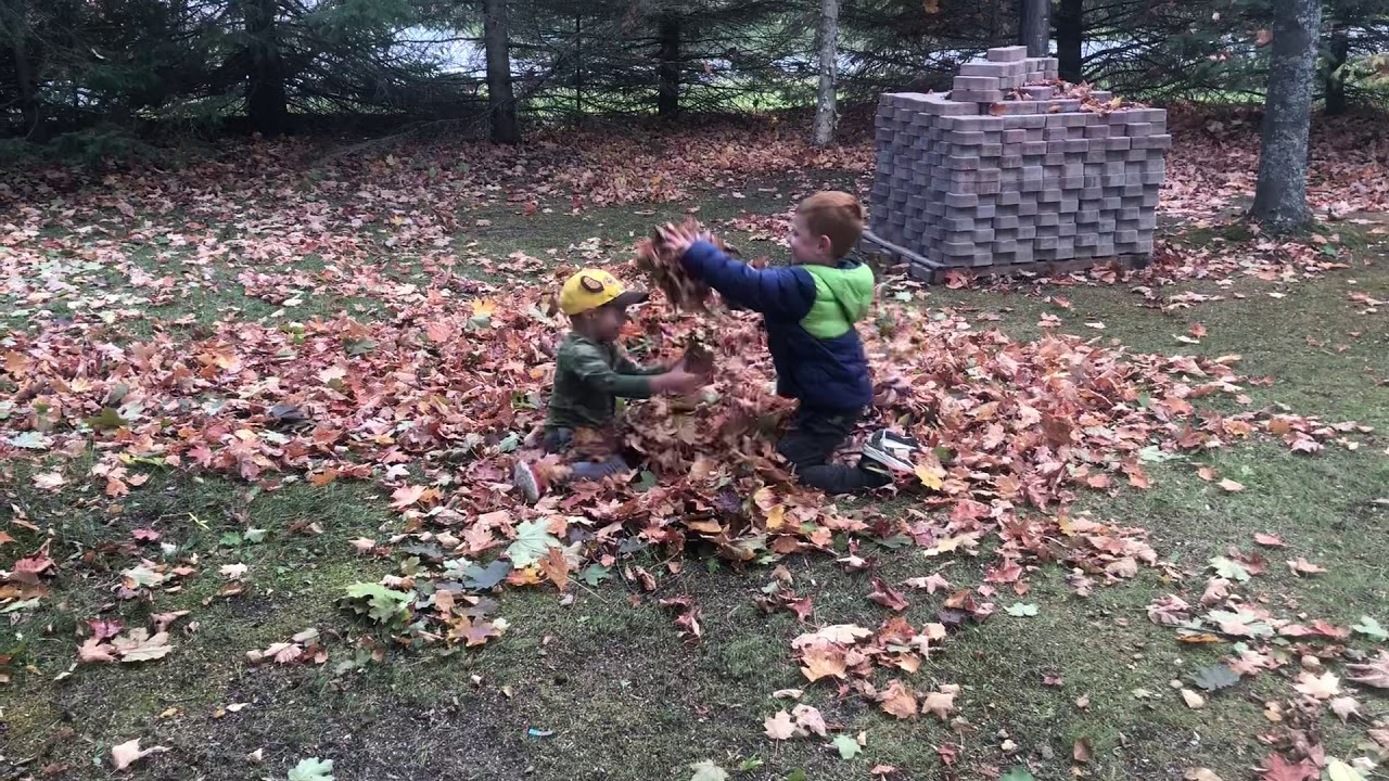 Fall colours. Leaves. Leaf fight. - YouTube
