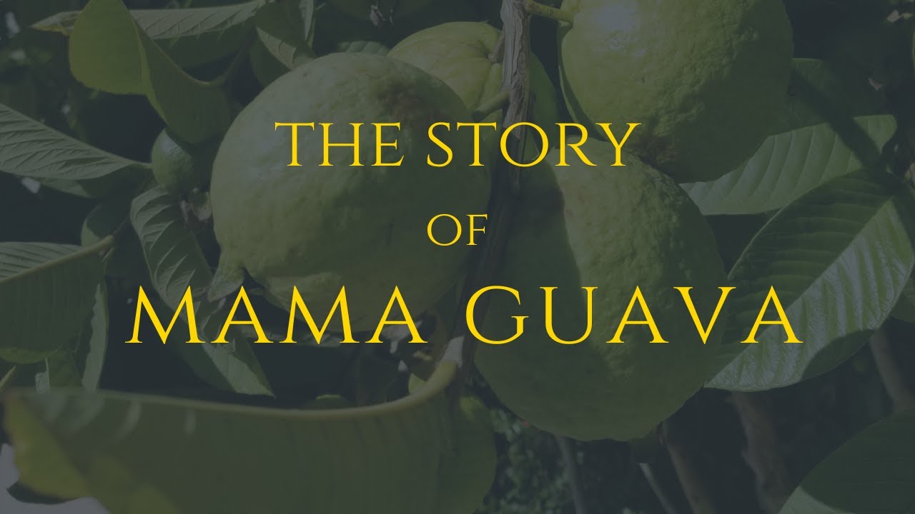 The Story of Mama Guava - YouTube