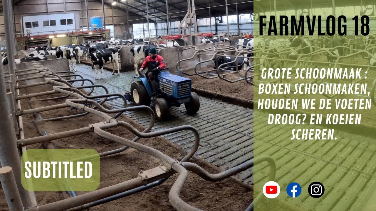 Farmvlog 18: Grote schoonmaak :boxen schoonmaken, houden we de voeten ...