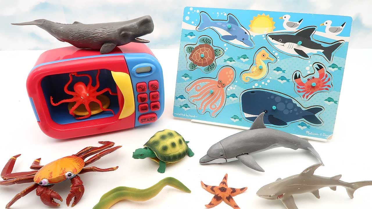 Learn Sea Animals For Kids - Shark, Dolphin, Crab, Turtle Sea Animal ...