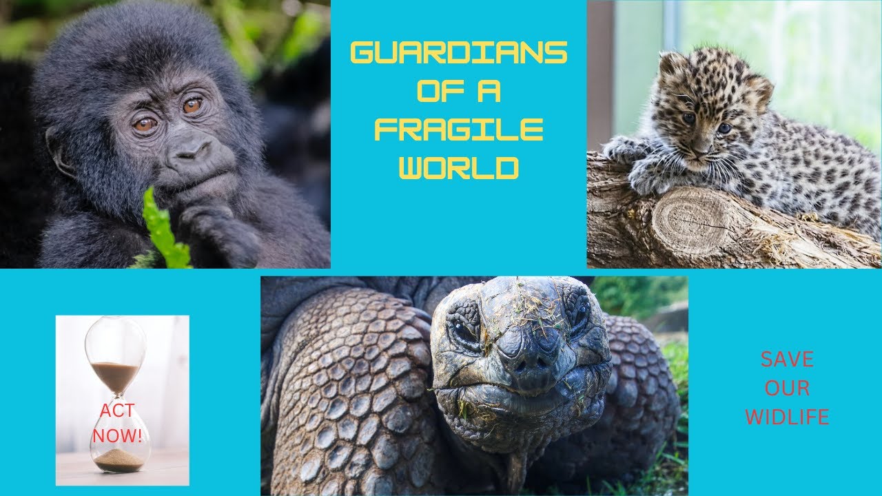 Exploring The World Of Endangered Animals - YouTube