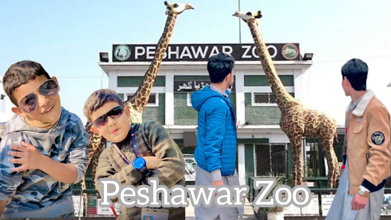 A visit to Peshawar Zoo | Beautiful wild Animal in Peshawar Zoo first ...