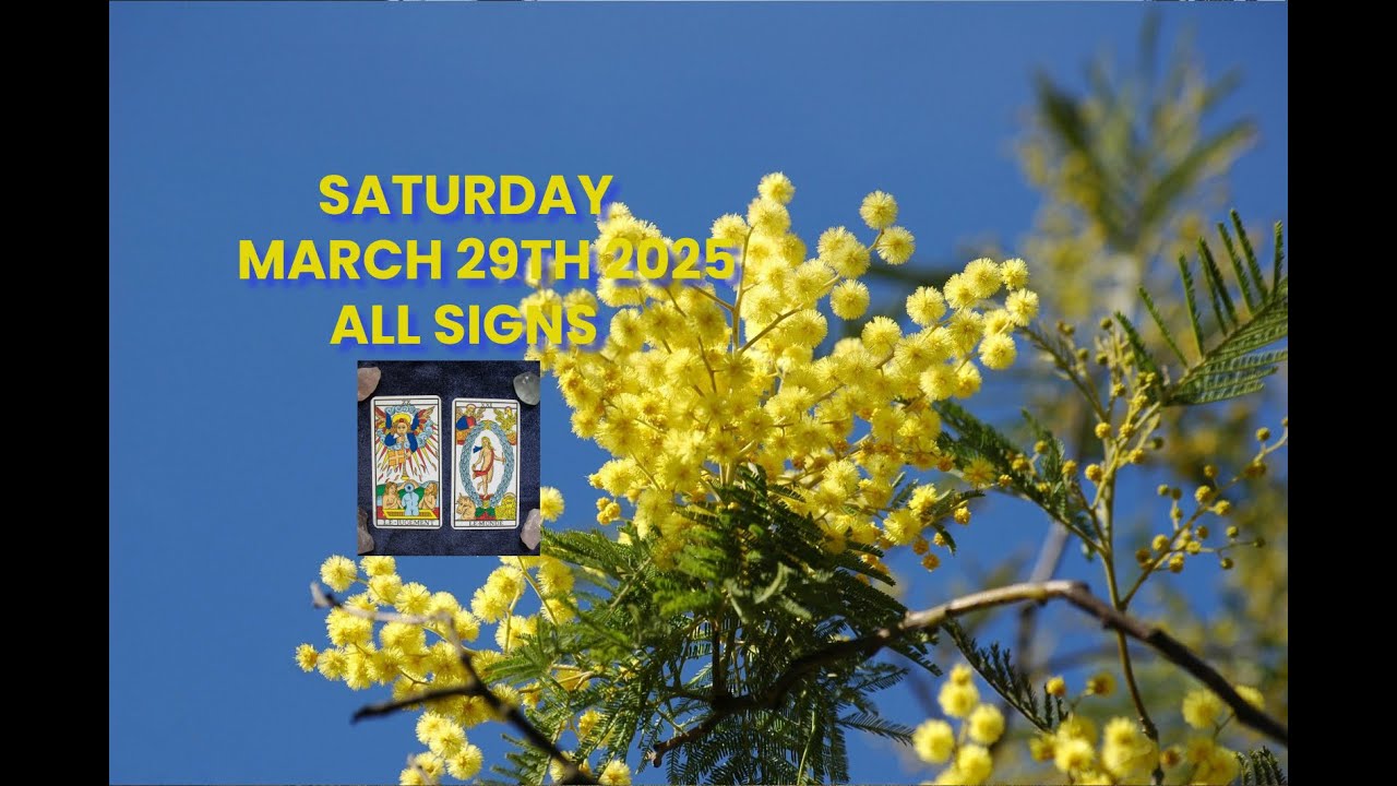 SATURDAY MARCH 29TH 2025 | ALL SIGNS | DAILY TAROT READINGS - YouTube
