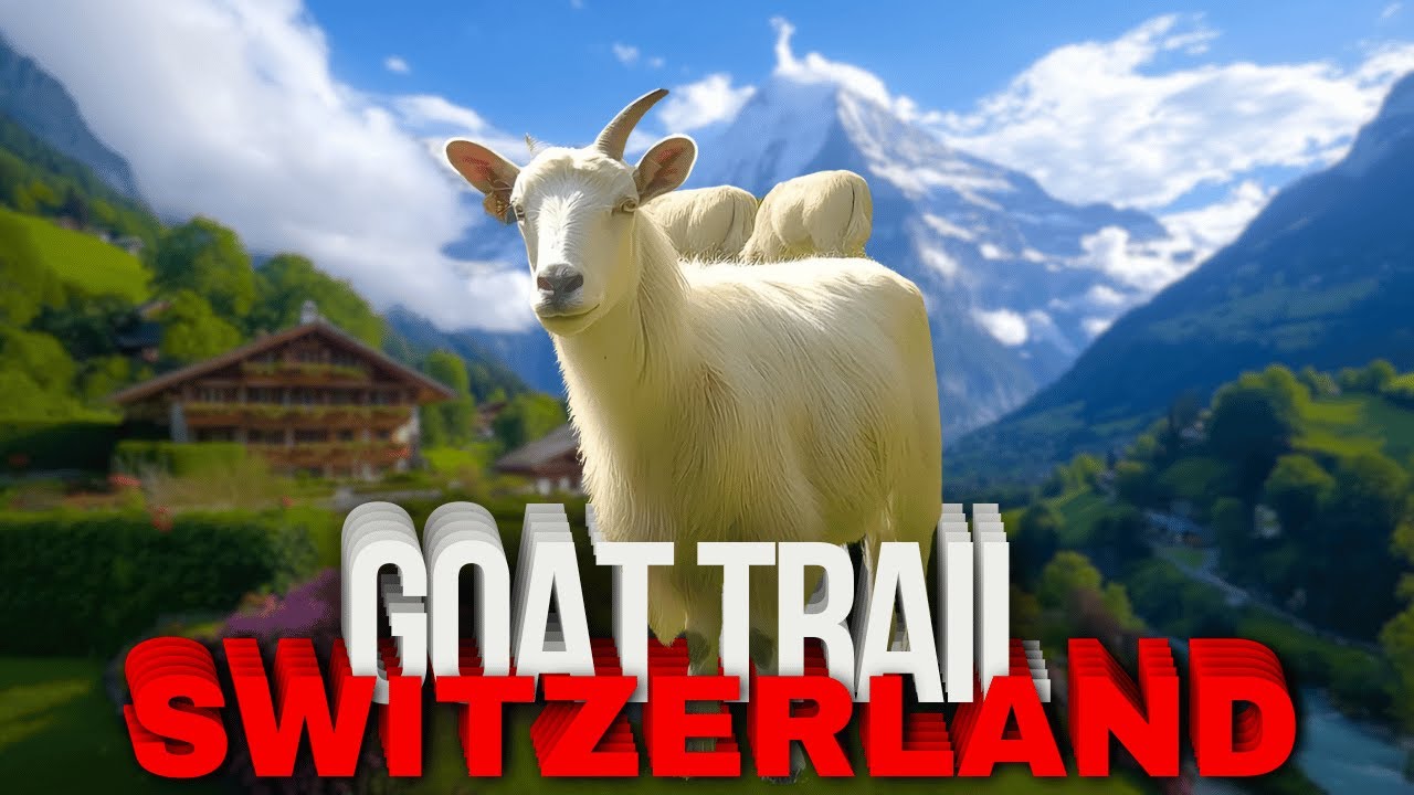 Walking in the Swiss Alps The Sattel-Hochstuckli Switzerland Goat Trail ...
