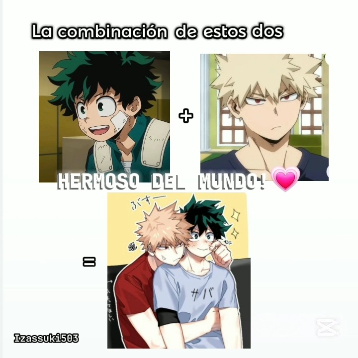 El shipeo más HERMOSO DEL MUNDO!😻💗 | 🥦IzukuMidoriya🥦/💥KatsukiBakugo💥 ...
