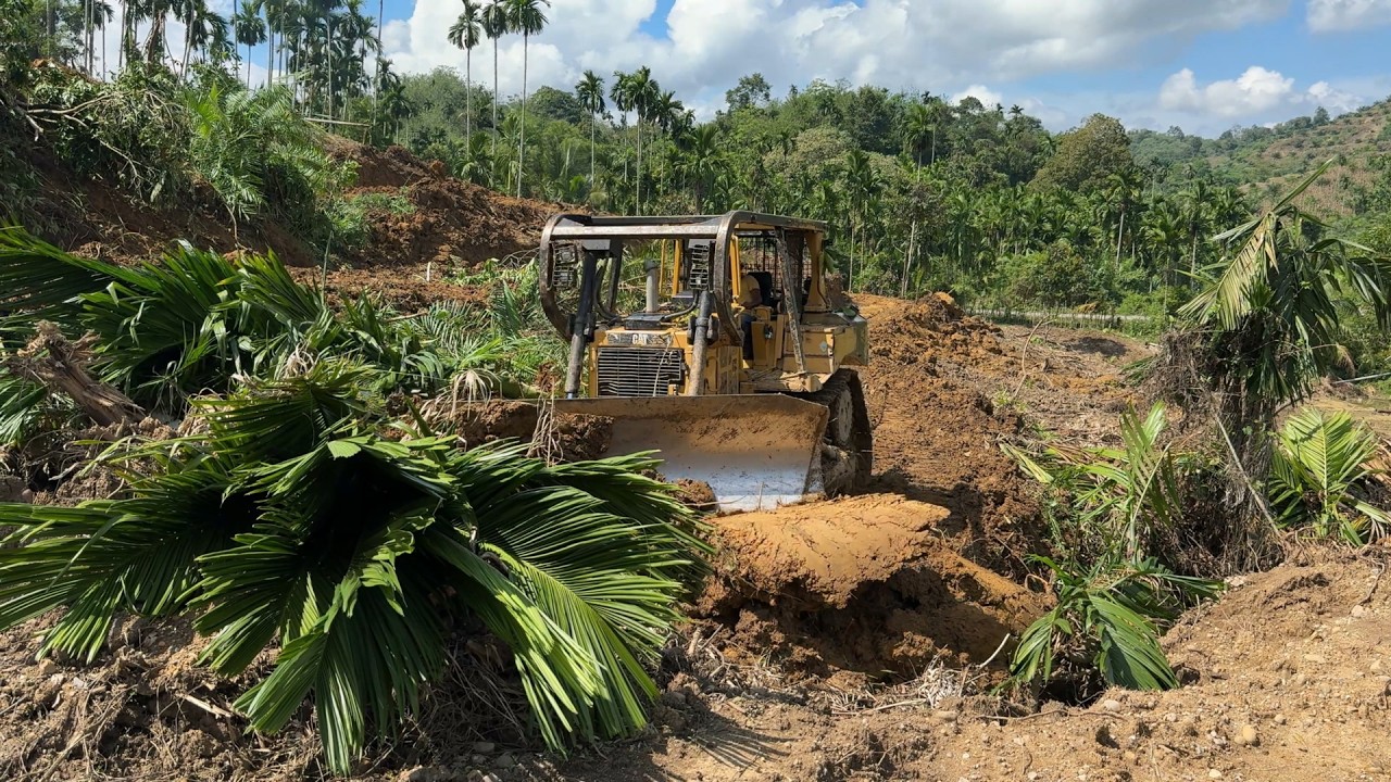 Easy Steps to Form an Oil Palm Terrace with the D6R XL Bulldozer - YouTube