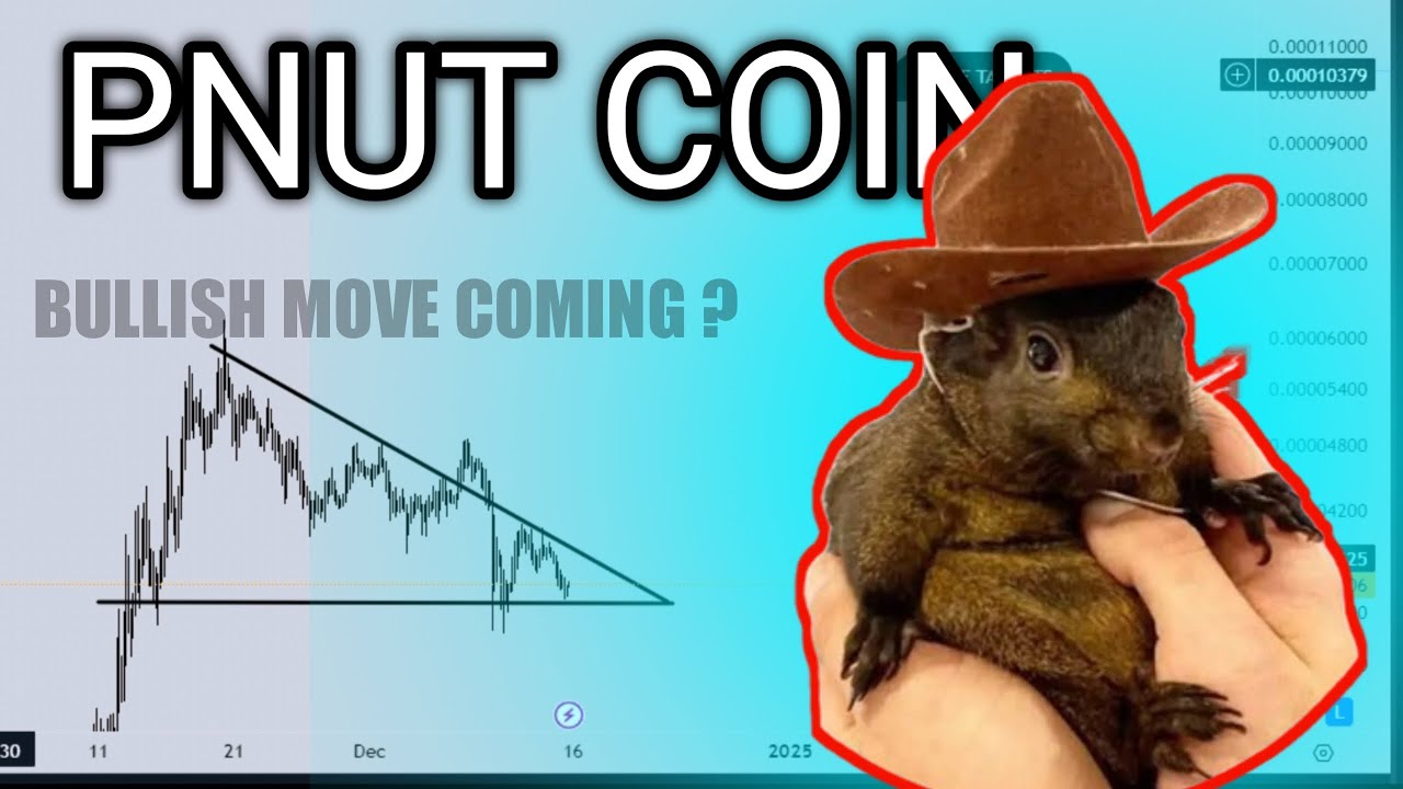 Pnut Coin Price PREDICTION & Technical Analysis 18 Jan | Pnut Latest ...