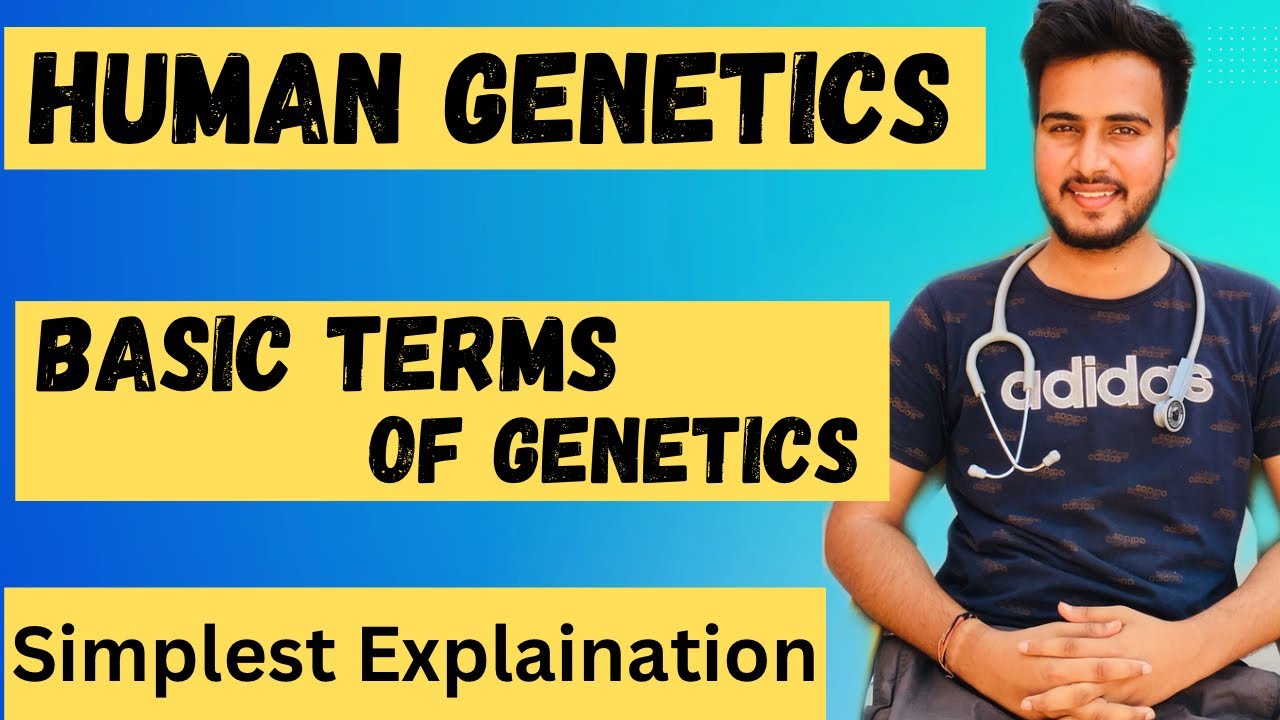 Basics of Human genetics// Terms related to genetics//Genes ...