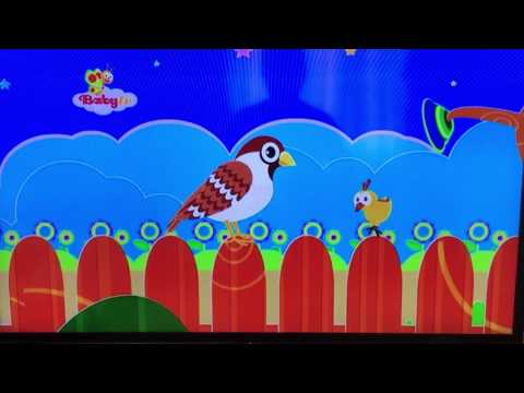 Güneş Battı Akşam Oldu Baby TV