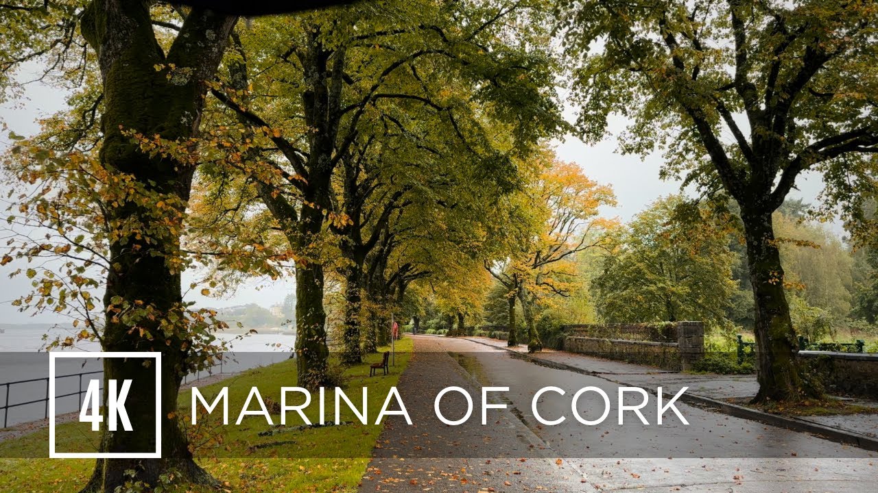 Walk under the Rain enjoying the Irish Autumn 🍂 | Cork City, Ireland ...