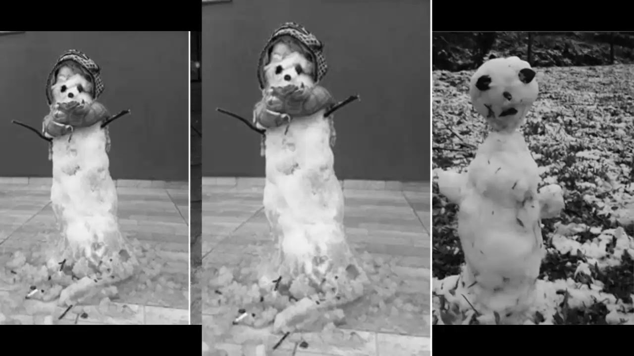 The brazilian snowman. - YouTube