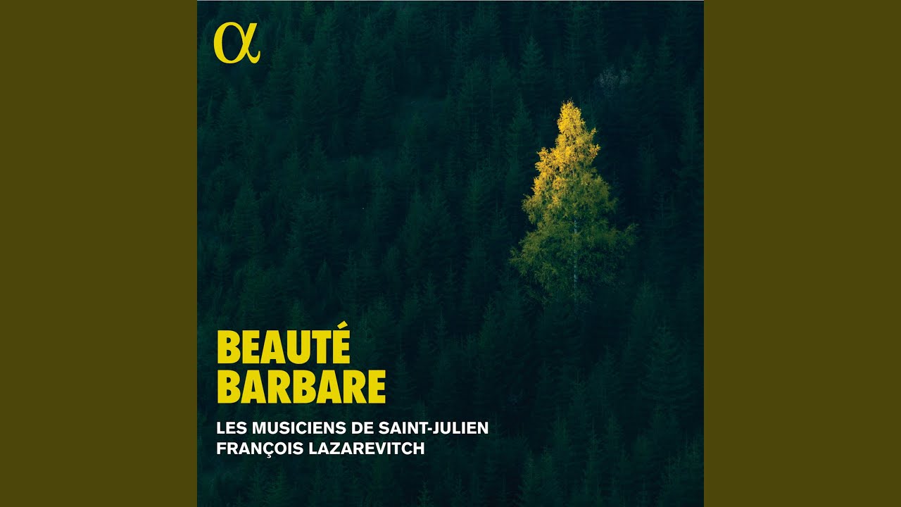 Flute Concerto in D Major, TWV 51:D2: III. Largo - YouTube