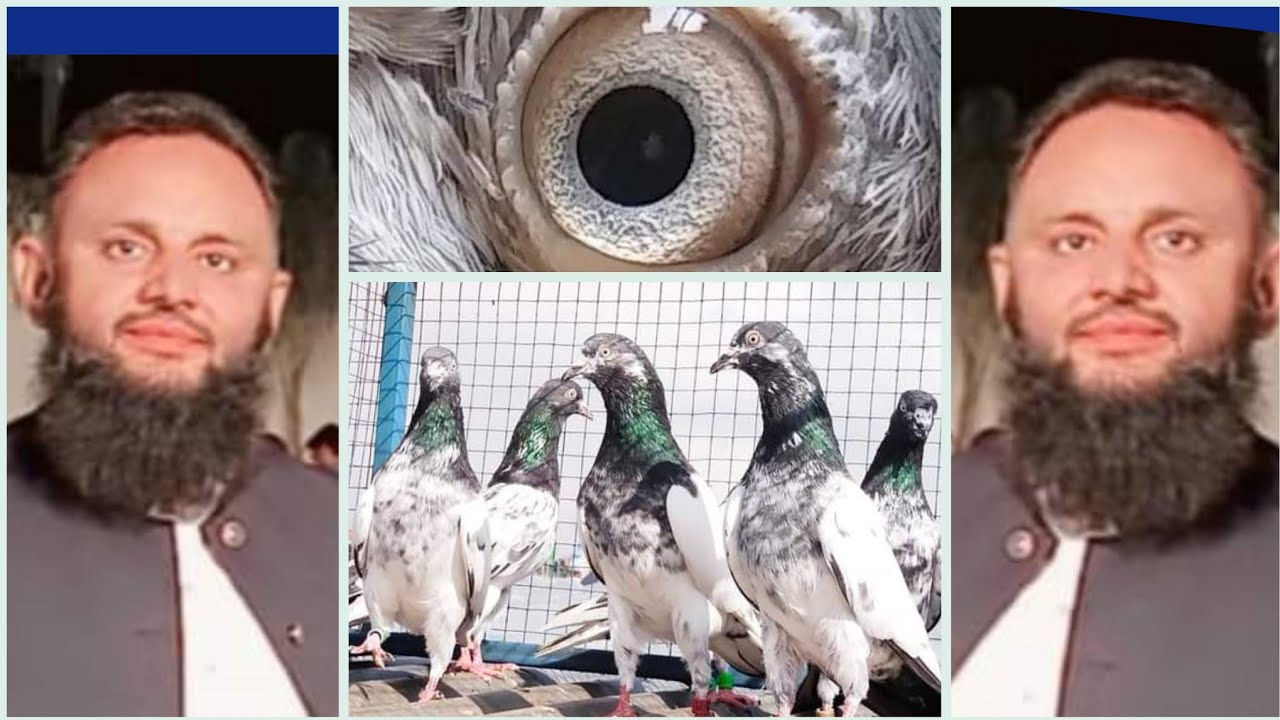 Ustad Haji Mohammad imran bakkar mandi ki chat se. - YouTube