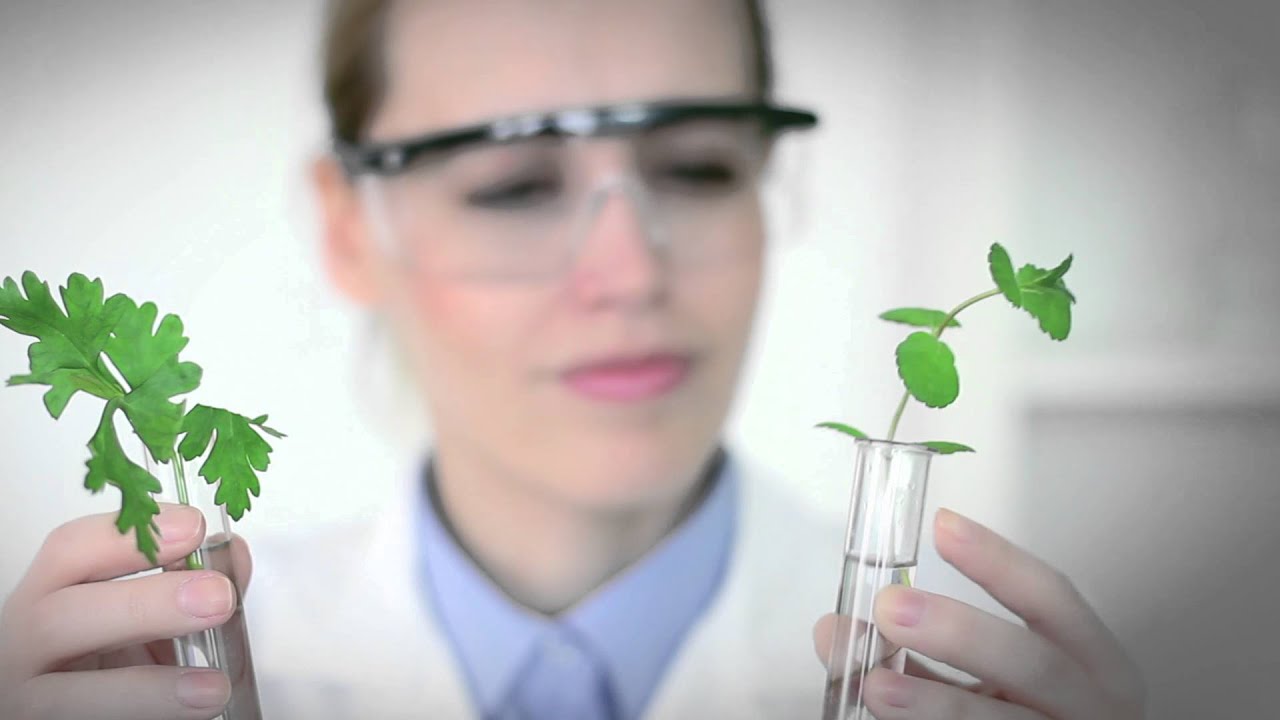 Kelly Scientific Talent: The Catalyst for Success - YouTube