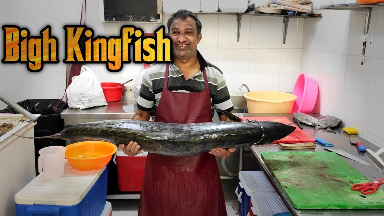 Gaint Kingfish Catting || Big King fish 30kg - YouTube