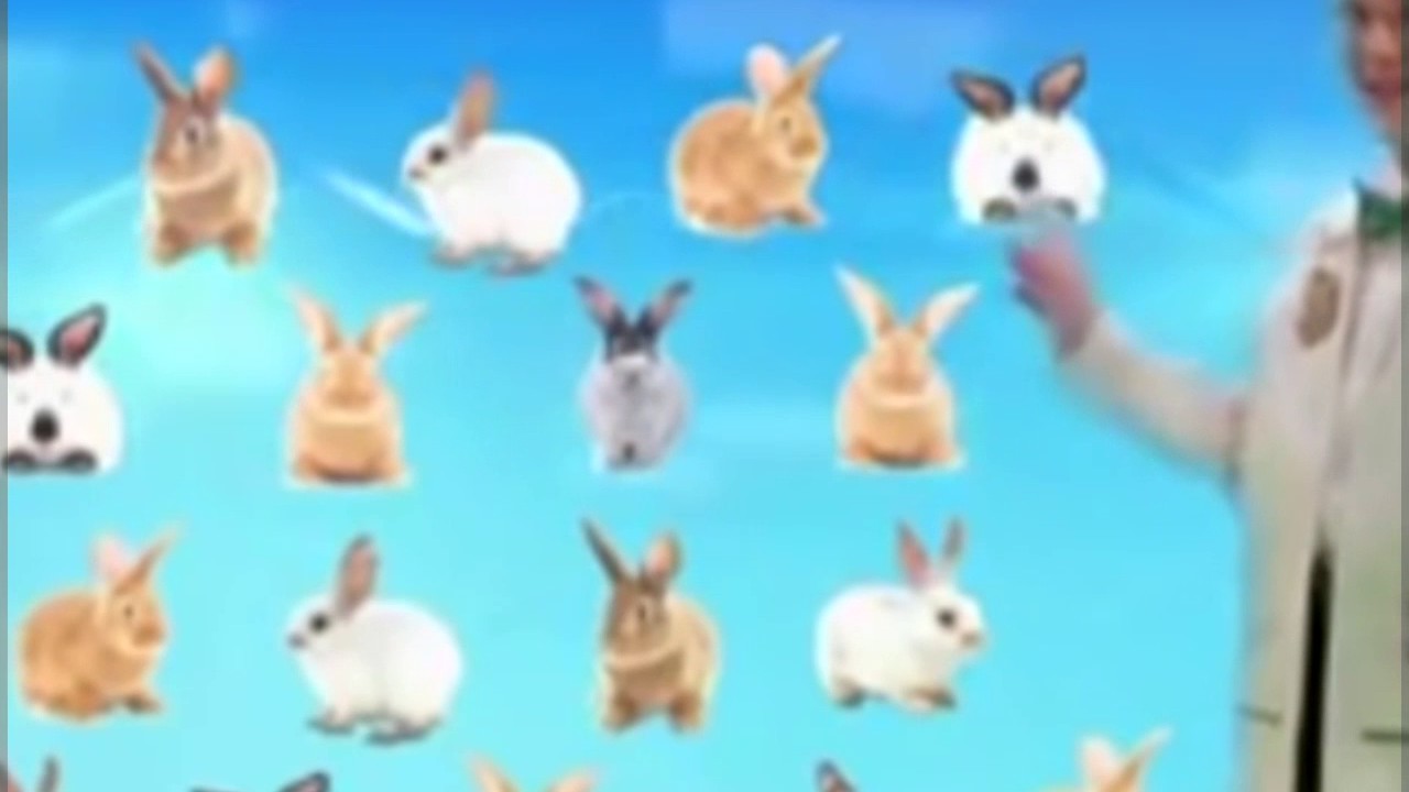 Odd Squad 1-10 - YouTube