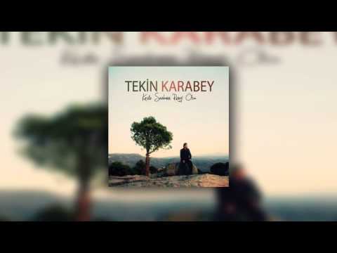Tekin Karabey - Anamın Dilinden Baktım Sözlüğe