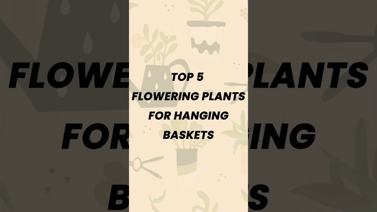 Indoor Gardening Tips In Jaipur Vegetable Gardening Ideas Tannu Ka Garden