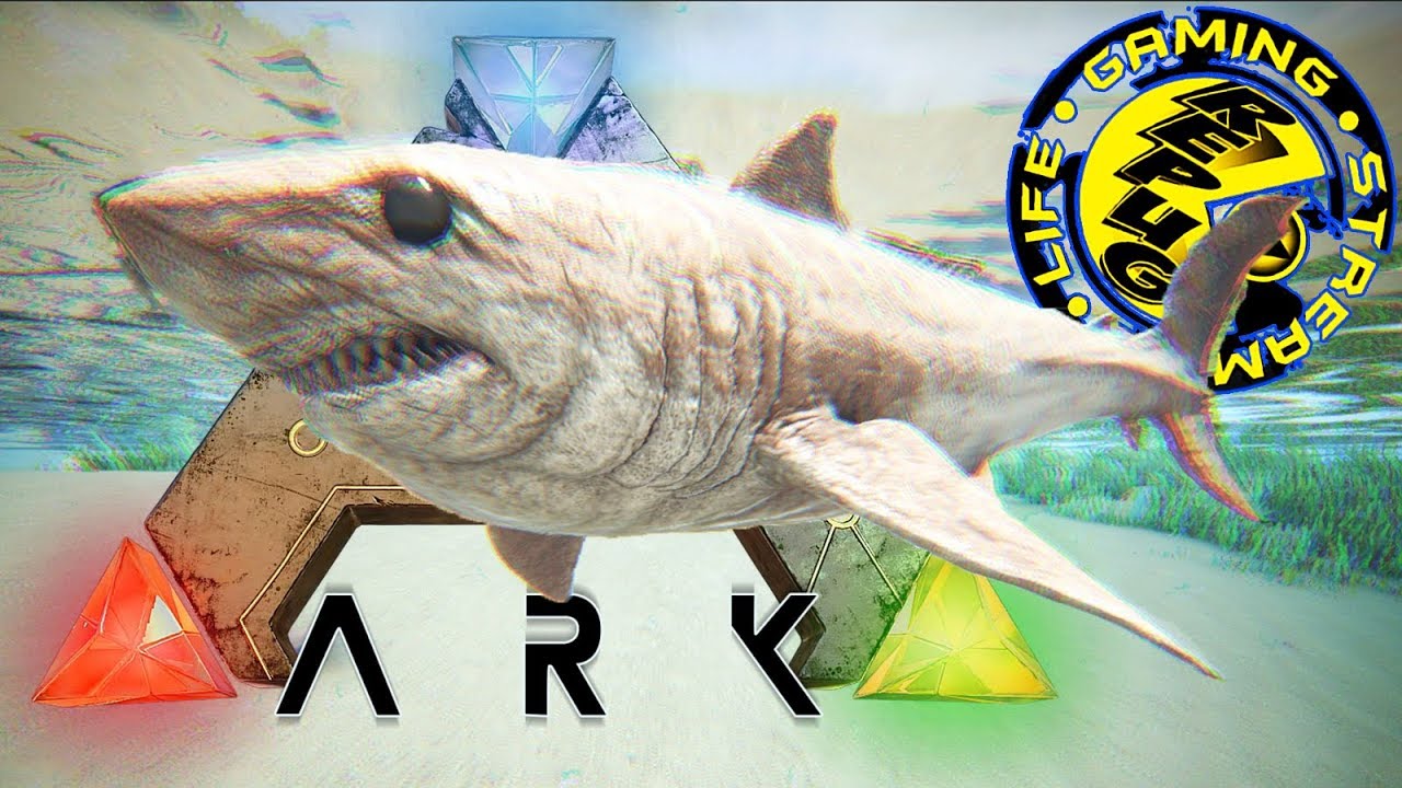 ARK: SURVIVAL EVOLVED:Megalodon's tame and BABY SHARK ! [RePuG Vanilla ...
