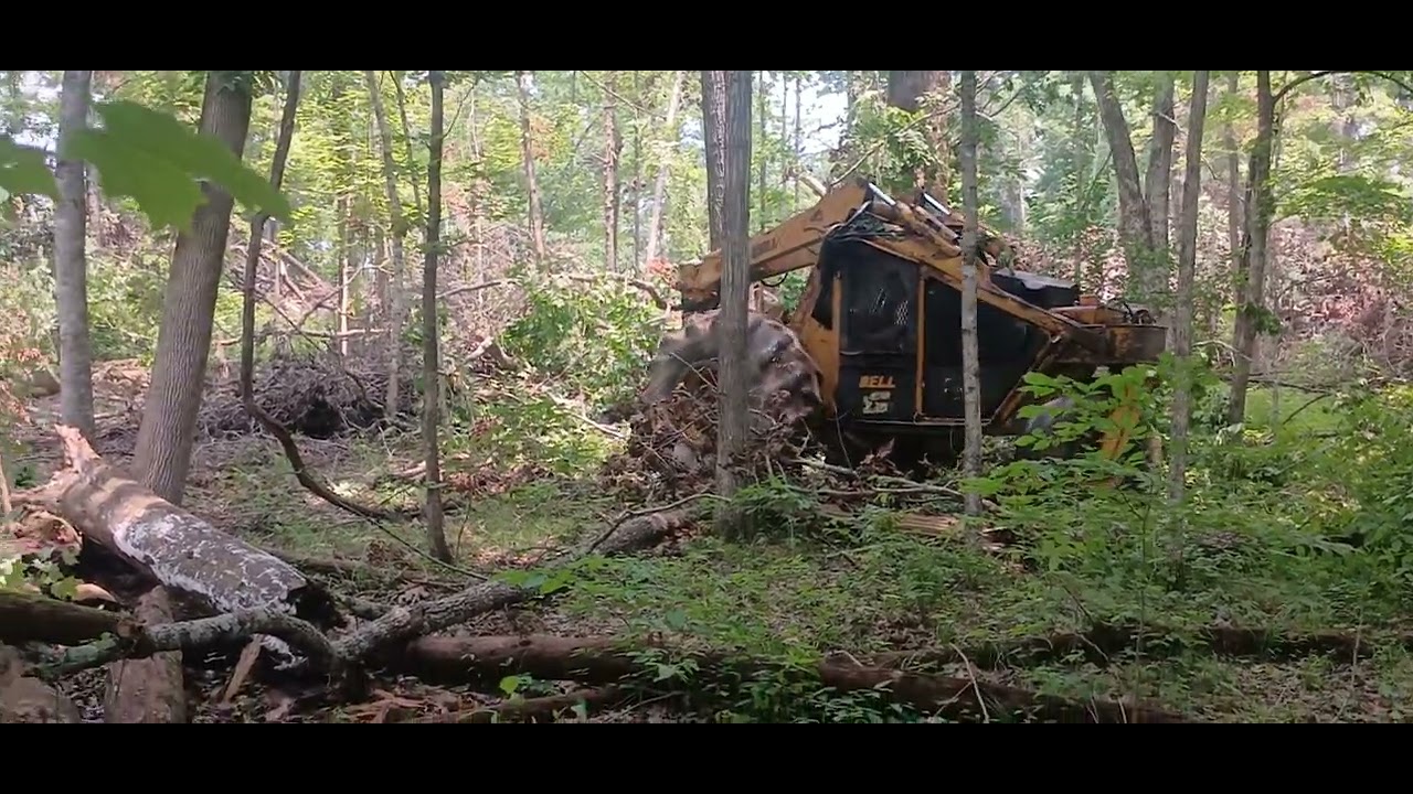 Using the bell some - YouTube