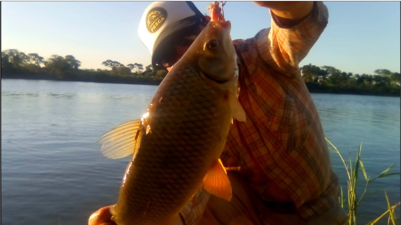 PESCA DE BOGA CON BOYA. PESCANDO EN ZONA PROFUNDA. PESCA Y COCINA ...