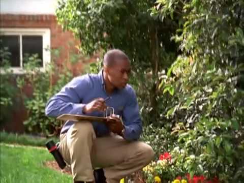 Matthew Marino - Cook's Pest Control - Ninja - YouTube