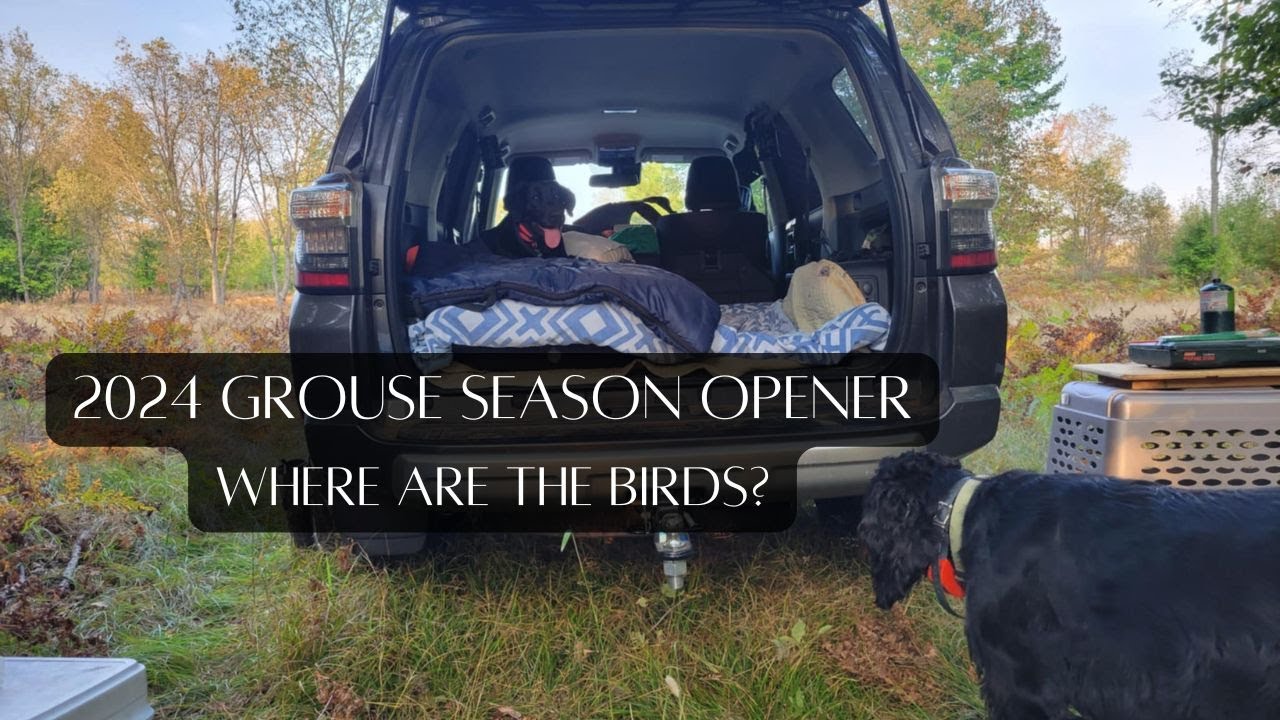 2024 MI Grouse Opener - YouTube