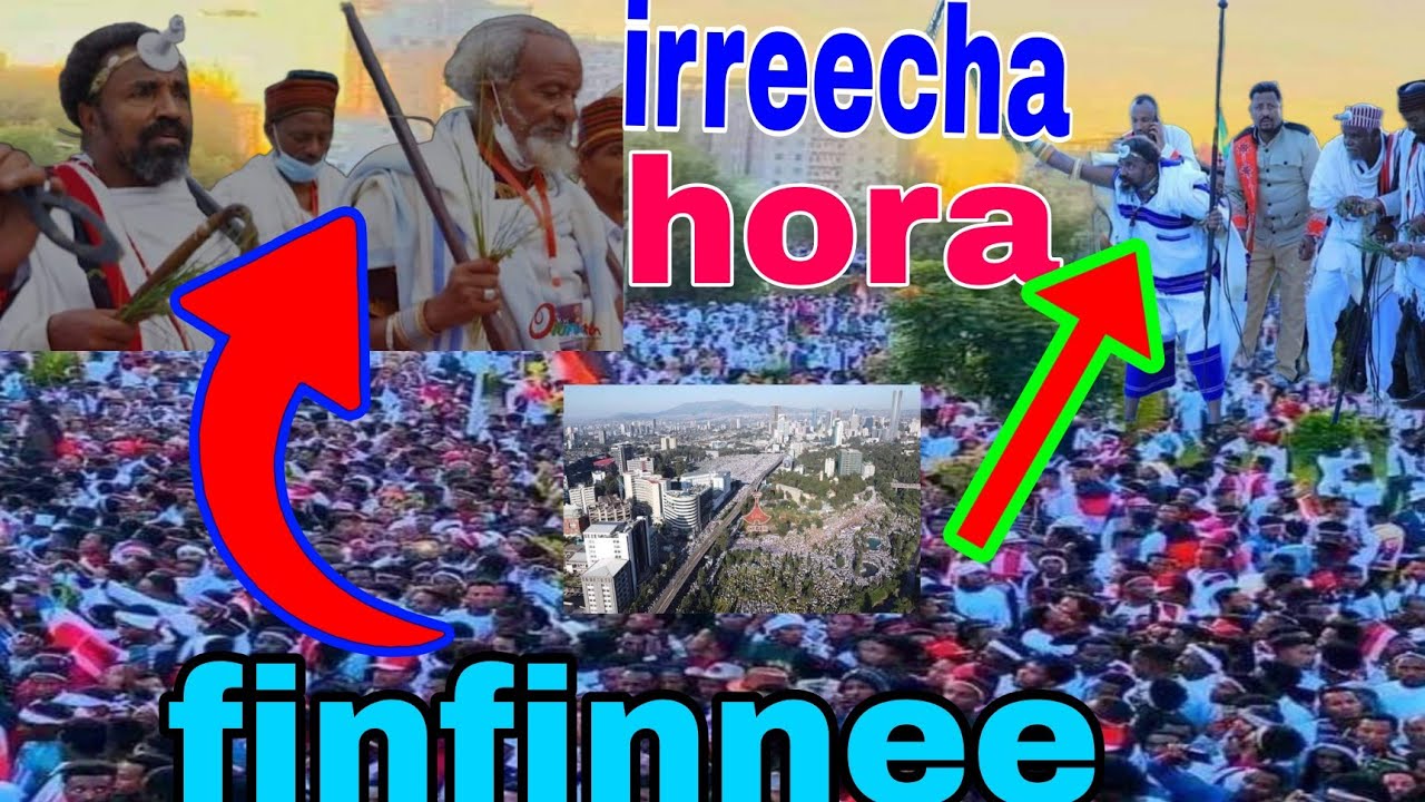 Irreechi Finfinnee Haala Bareedaan Irreeffatame Congratulations Oromo ...
