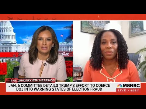 MSNBC Interview with María Teresa Kumar - YouTube