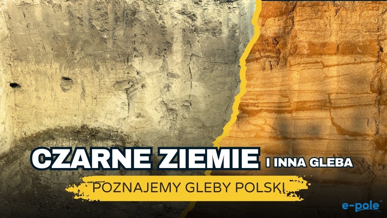 💡 CZARNE ZIEMIE to nie czarnoziemy! Poznajemy gleby Polski z prof ...
