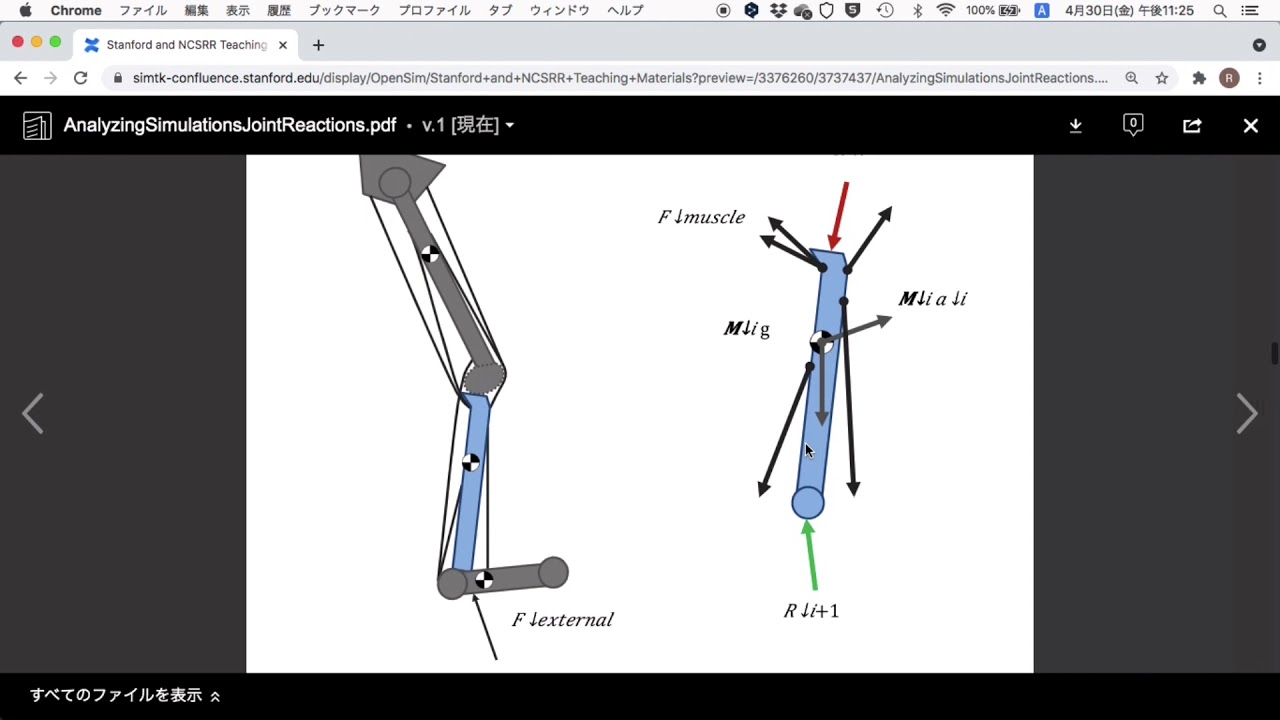 OpenSim日本語解説！Joint Reaction編 関節反力計算 - YouTube