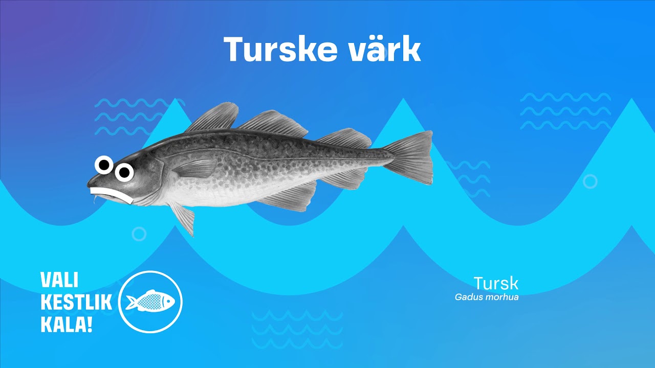 Tursk - turske värk - YouTube