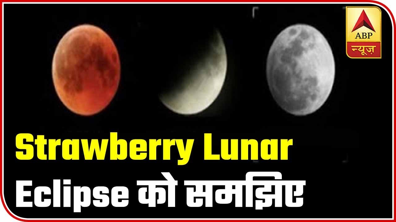All You Need To Know About Strawberry Lunar Eclipse | ABP News - YouTube