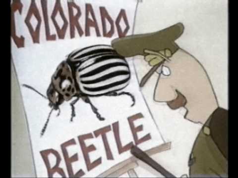 A Bug's Life During Wartime - YouTube