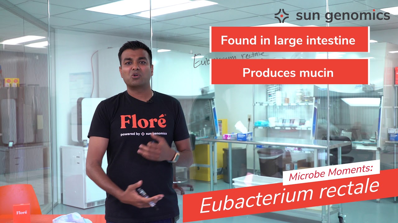 Microbe Moments: Eubacterium rectale | Sun Genomics - YouTube