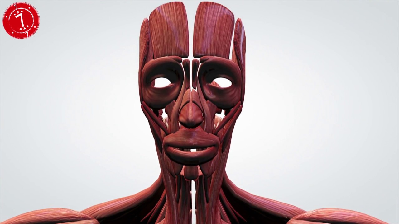 Top 10 Impressive Proofs of Evolution You Wouldn’t Believe If They ...