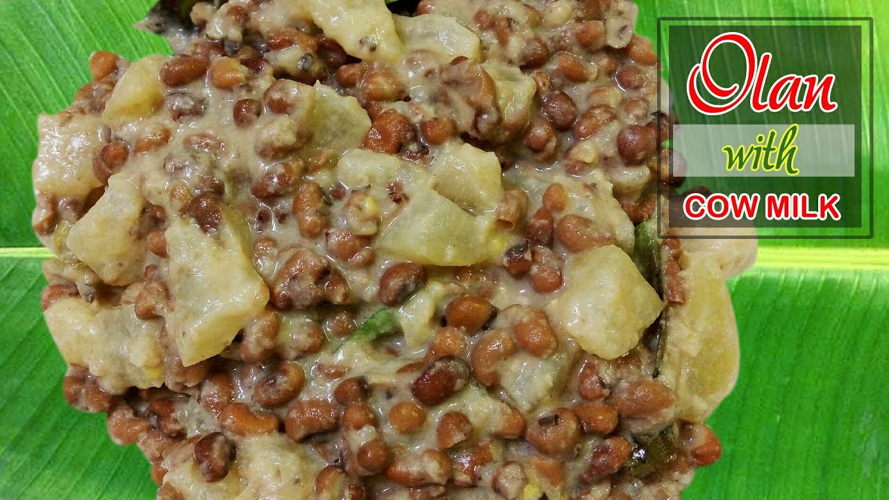 SADHYA OLAN RECIPE|| Special Olan with Cow Milk ||പശുവിൻ പാലിൽ ഒരു ഓല ...