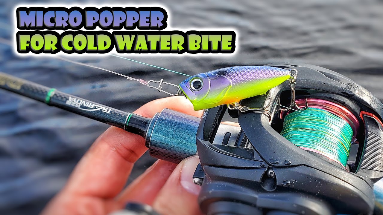 Fishing for Cold Topwater Bites on the Eurotackle Z-Popper - BFS ...