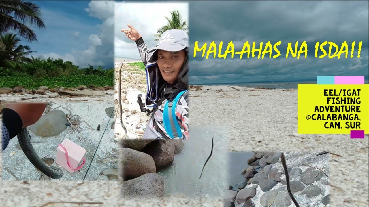 SNAKE-LIKE FISH 😱😱😱!! EEL/IGAT FISHING ADVENTURE@ Calabanga, Cam. Sur # ...
