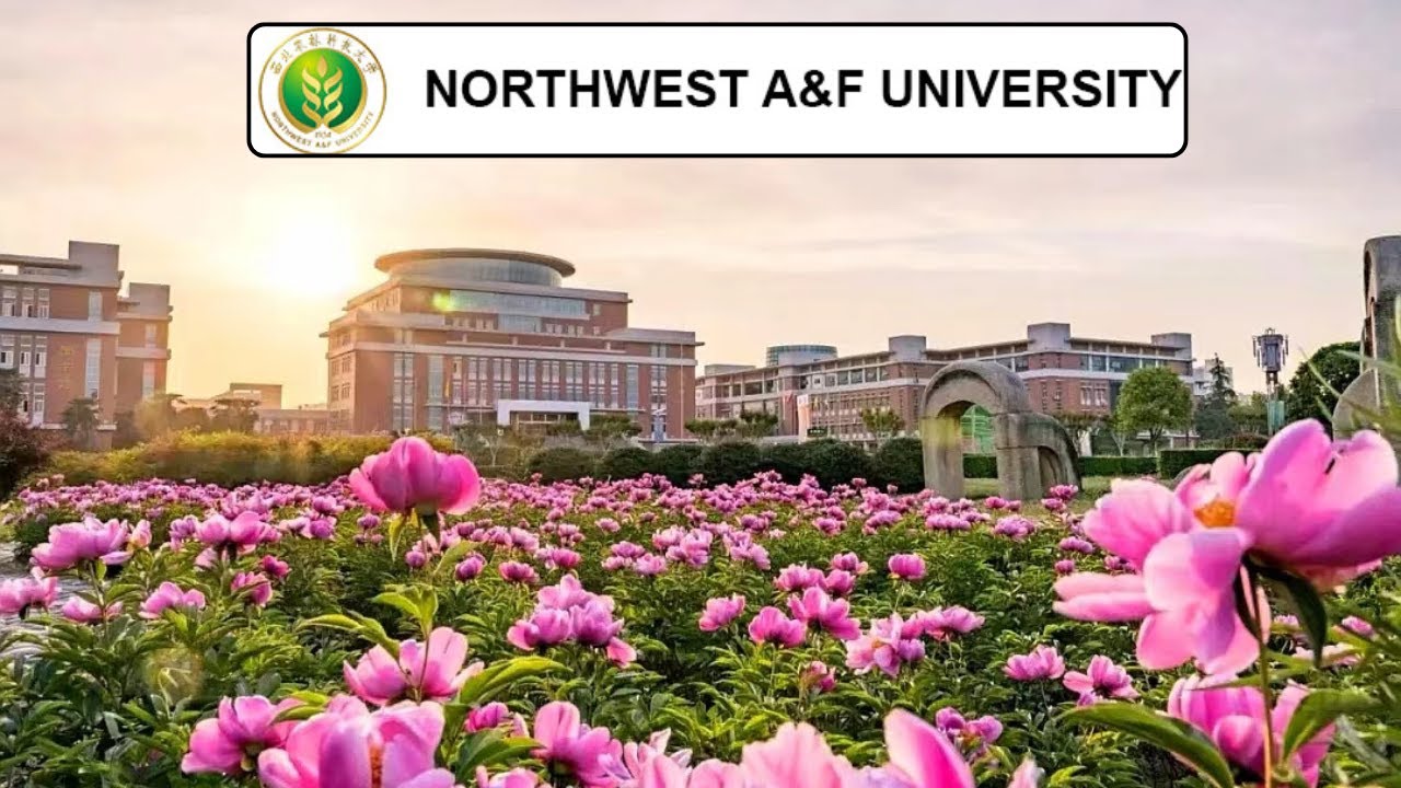 Northwest A&F University (NWAFU) ।।Overview।।2024-2025 - YouTube