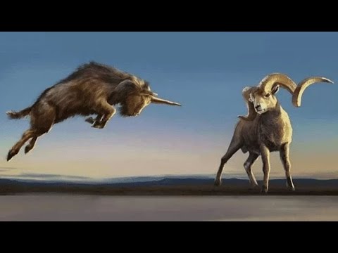 Daniel 8: El carnero, el macho cabrío y el cuerno pequeño. Una visión ...